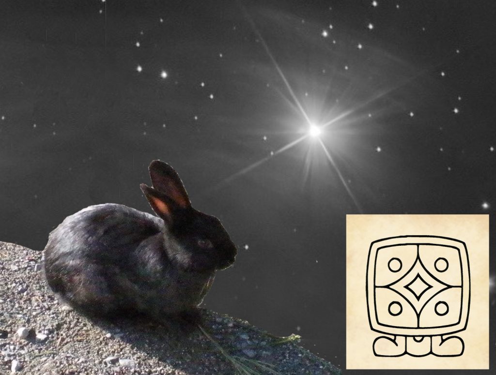 Lamat (Star) | Maya Calendar Arts